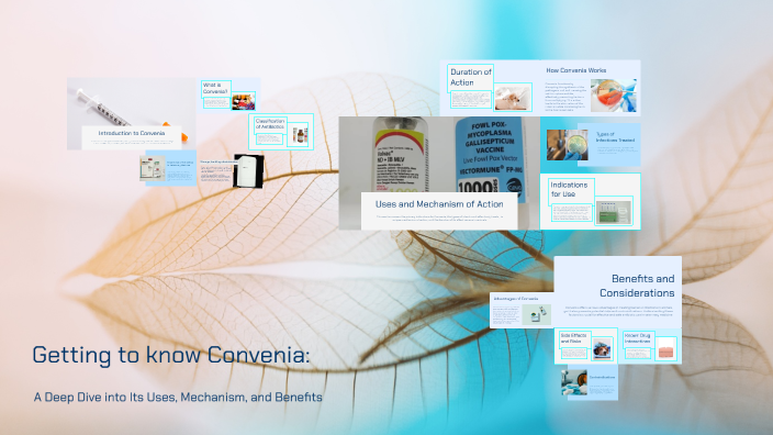 Understanding Convenia: An Antibiotic Overview by Courtney Holmgren on ...