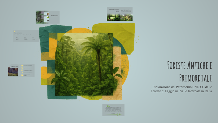 Foreste Antiche e Primordiali by milo gerber on Prezi