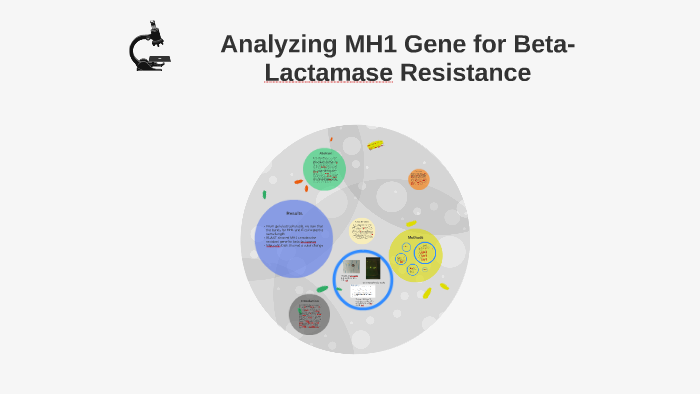 Analyzing MH1 Gene for Beta-Lactamase Resistance by Jordan Costa on Prezi