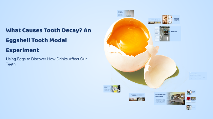 What Causes Tooth Decay? An Eggshell Tooth Model Experiment by Donald ...