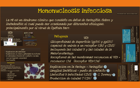 Mononucleosis infecciosa by raul castillo on Prezi