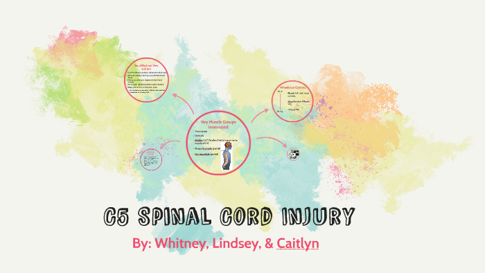 C5 Spinal Cord Injury by Lindsey Bradshaw on Prezi
