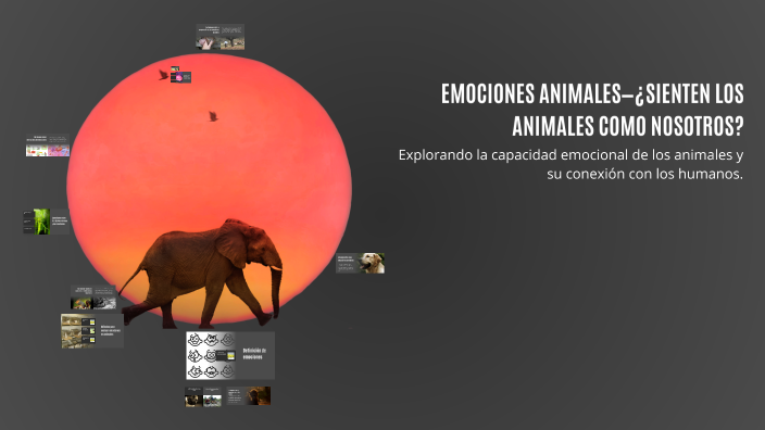 EMOCIONES ANIMALES—¿SIENTEN LOS ANIMALES COMO NOSOTROS? by Alfredo ...