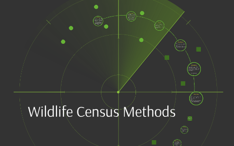 Wildlife Census Methods by Billy Brown on Prezi