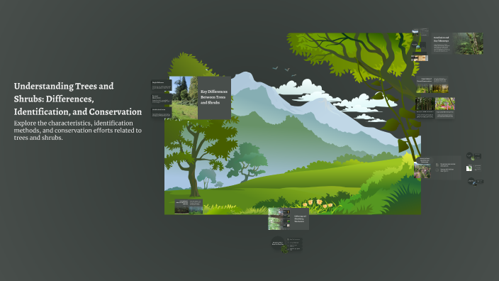 Understanding Trees and Shrubs: Differences, Identification, and ...
