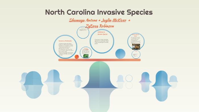 North Carolina Invasive Species by Shamaya Antone on Prezi