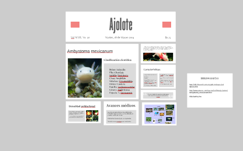 Ajolote by Natasha Robles on Prezi