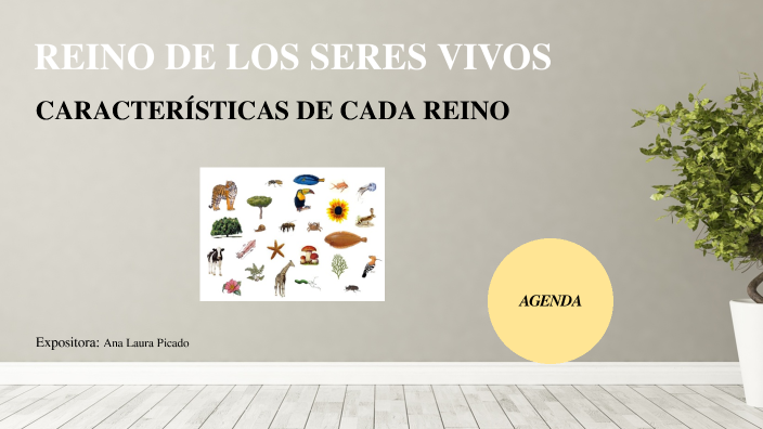 Reino de los Seres Vivos by Ana Laura Picado Ruíz on Prezi