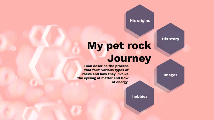 PET ROCK JOURNEY- SHULL by Adelynne Shull on Prezi