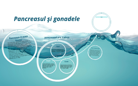 Pancreasul şi gonadele by Nicoleta Lupu on Prezi