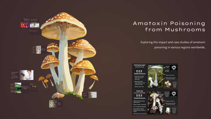 Amatoxin Poisoning from Mushrooms: A Global Perspective by Thomas Yim ...