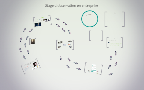 Stage d'observation en entreprise by Théo Guillard on Prezi