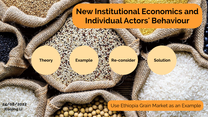 New Institutional Economics and Individual Actors' Behaviour by ...