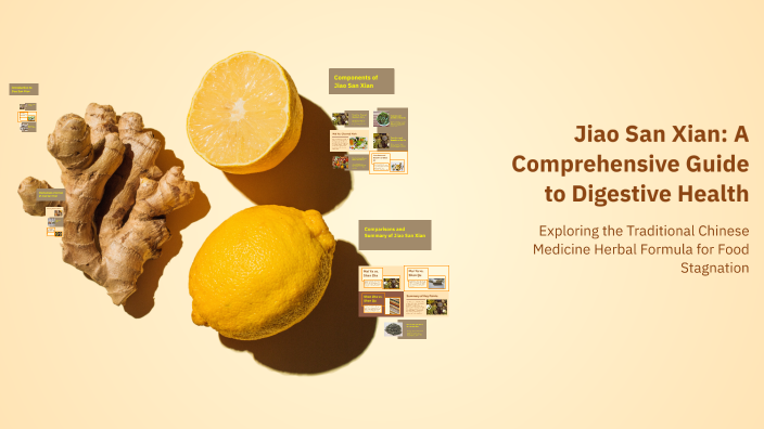Jiao San Xian: A Comprehensive Guide to Digestive Health by Hui Ju Tsai ...