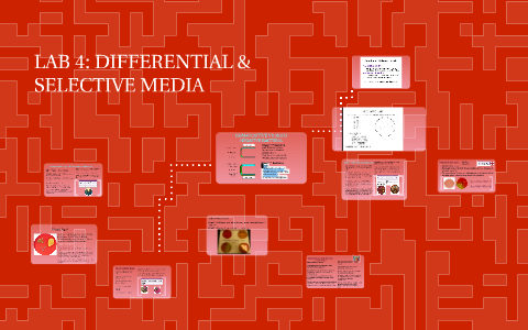 LAB 4: DIFFERENTIAL & SELECTIVE MEDIA by Mariam Kaleem on Prezi