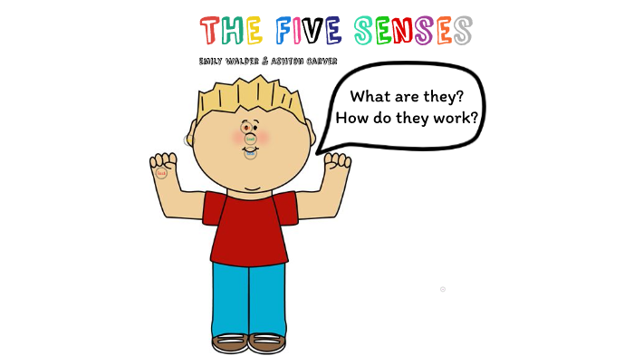 The Five Senses by Emily Walder on Prezi