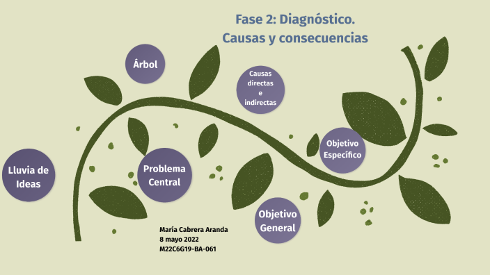 Fase 2: Diagnóstico. Causas y consecuencias by alejandro cabrera on Prezi