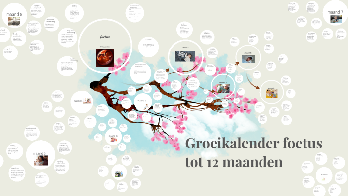 Groeikalender foetus tot 12 maanden by karlijn Pelt on Prezi