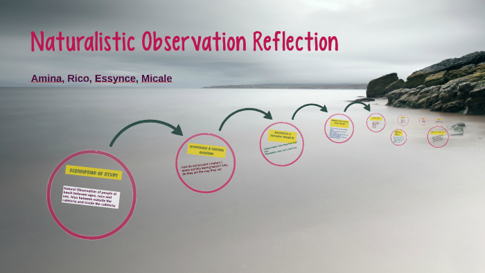 Naturalistic Observation Reflection by Amina Gethers on Prezi