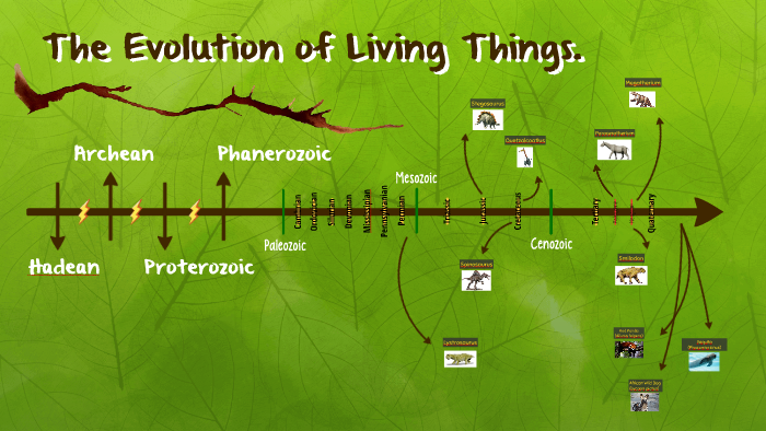 The evolution of living things. by Johanna Sáinz on Prezi