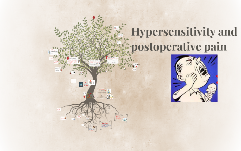 Hypersensitivity and postoperative pain by nirvana mansour on Prezi