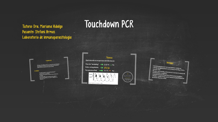 Touchdown PCR by stefani Armas on Prezi