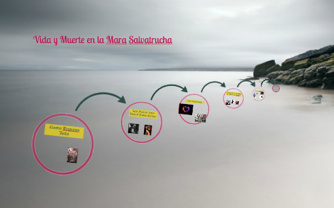 Vida y Muerte en la Mara Salvatrucha by Hannah Lynch on Prezi