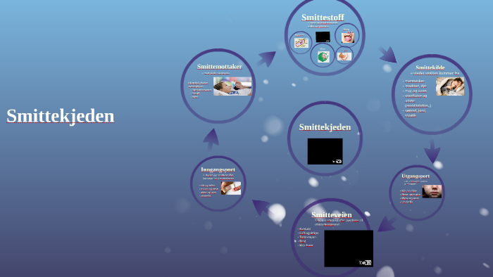 Smittekjeden by Kristin Angelsen on Prezi