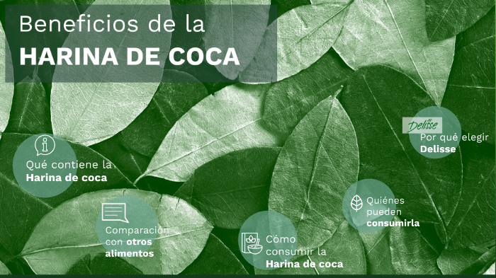 Beneficios de la Harina de coca by Wendy Gironda on Prezi