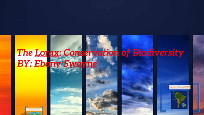 The Lorax: Conservation of Biodiversity by Ebony Swayne on Prezi