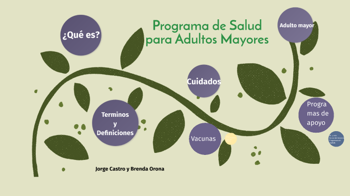 Prestación de servicios de asistencia social a adultos y adultos ...