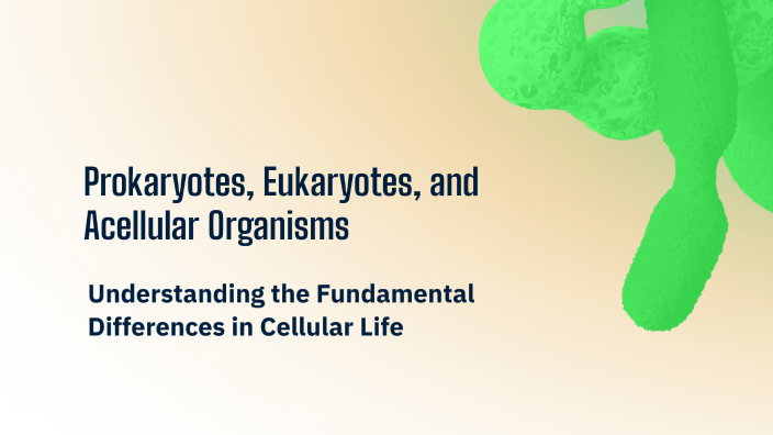 Prokaryotes, Eukaryotes, and Acellular Organisms by Lexi Smith on Prezi