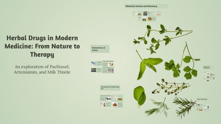 Herbal Drugs in Modern Medicine: From Nature to Therapy by TWD GOT on Prezi