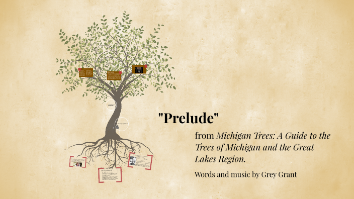 Michigan Trees: A Guide to the Trees of Michigan and the Great Lakes ...