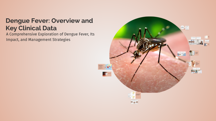 Dengue Fever: Overview and Key Clinical Data by ezza irfan on Prezi