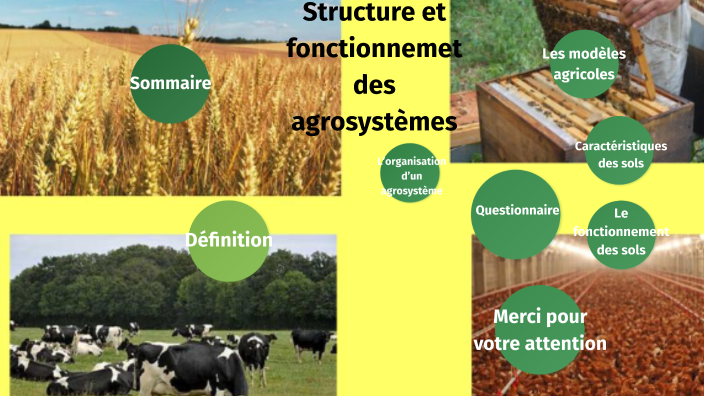 les agrosystemes svt by Yacine MINSAF on Prezi