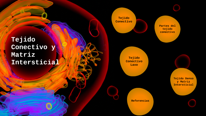 Tejidos Conectivos y Matriz Intersticial by Nicol Monjarre Meneses on Prezi