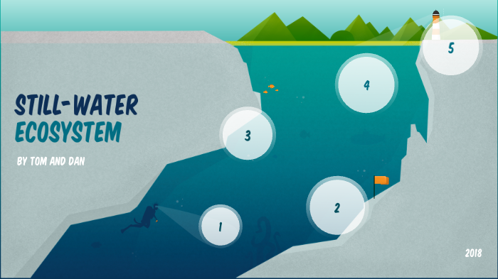Stillwater by Tom Earle on Prezi