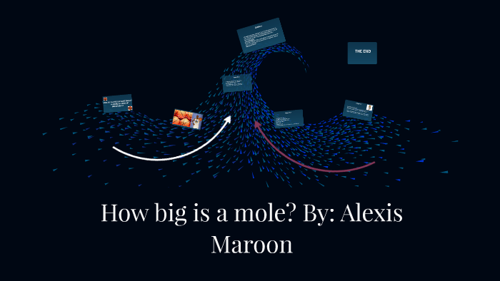 How big is a mole? by Alexis Danielle