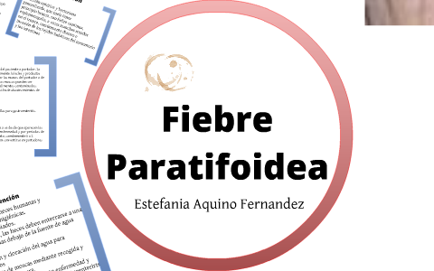 Fiebre Paratifoidea by Estefanía Aquino on Prezi