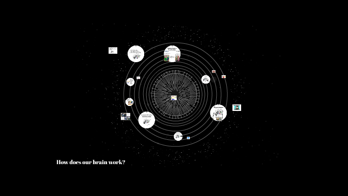 How does our brain work? by Caitlin Laughlin on Prezi