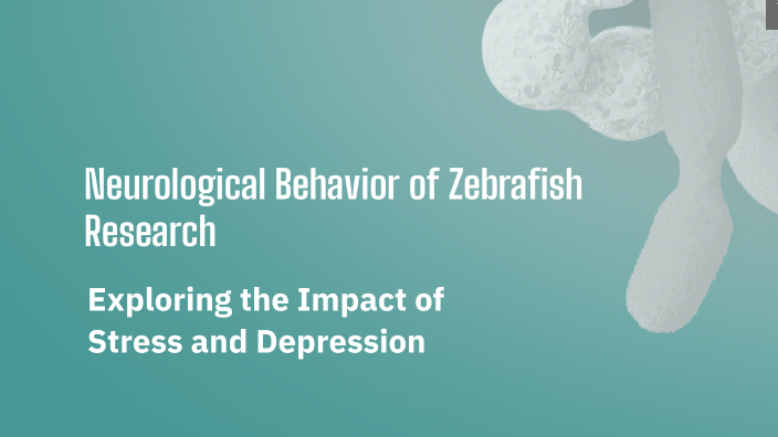 Neurological Behavior of Zebrafish Research by Nuhaa on Prezi