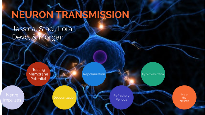 Neuron Membrane Potential by Jessica Cauthen on Prezi