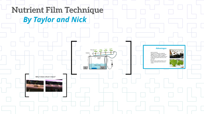 Nutrient Film Technique by Taylor Morash on Prezi Next