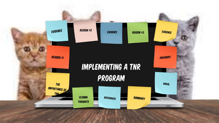 Implementing a TNR Program by Ivan Rocha on Prezi