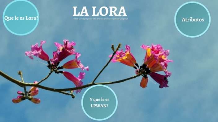 LA LORA by Hugo José on Prezi