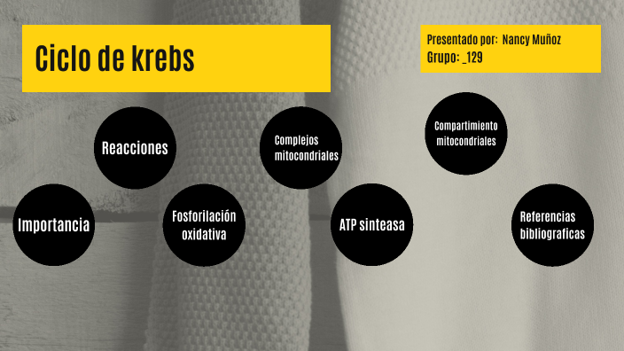 Ciclo de Krebs by Nancy Muñoz on Prezi