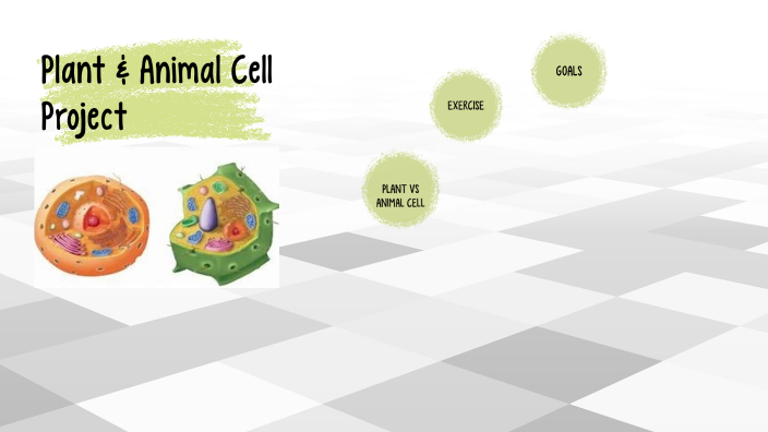 Plants and Animal Cell Project by Madison Mckeavin on Prezi