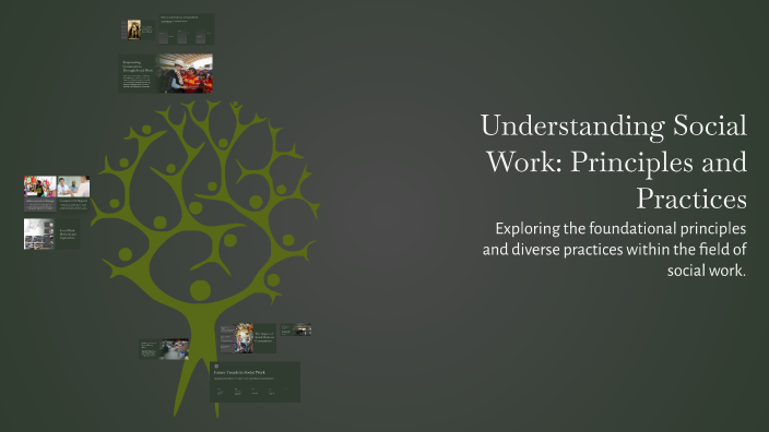 Understanding Social Work: Principles and Practices by Maritsa Torres ...