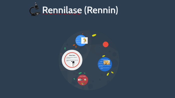 Rennilase (Rennin) by Chris Pearse on Prezi